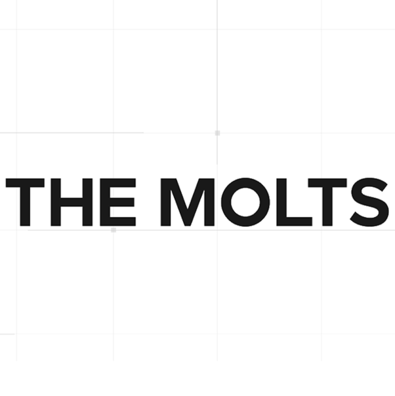 「THE MOLTS Facebook広告運用代行」の口コミ・評判、料金・プラン、導入事例 | b-pos（ビーポス）